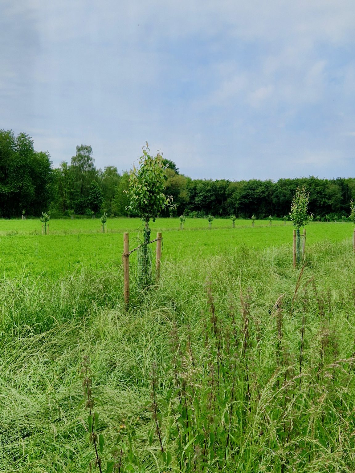 🌿 A Thriving Agroforestry Experience for Students! 🌿 – Sustainable Food ...
